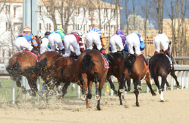 America's Best Racing