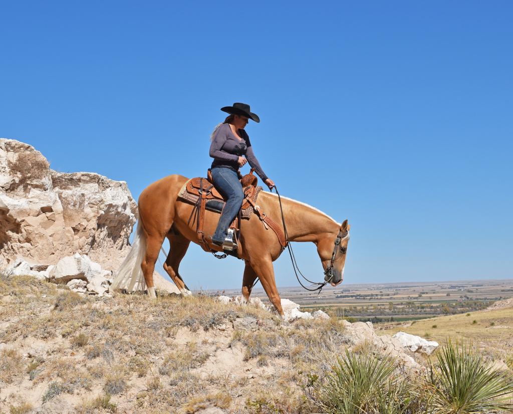 The Wonderful Ponies of the Kentucky Derby | America's Best Racing