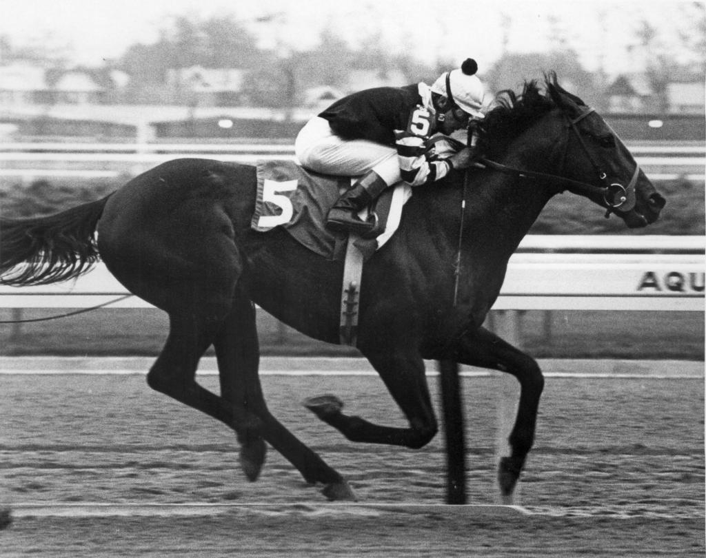 Seattle Slew: Deal of a Lifetime | America's Best Racing