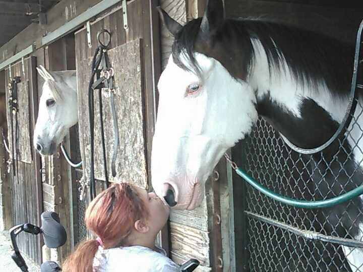 Unconventional Blue is Owner’s ‘Hippie’ Preakness Pony | America's Best ...