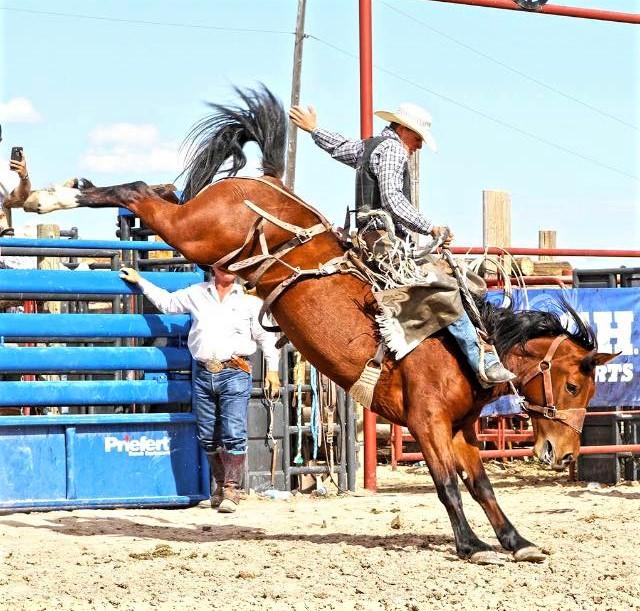 Omaha Beach’s Exercise Rider Cambra Relishing the Derby Experience ...