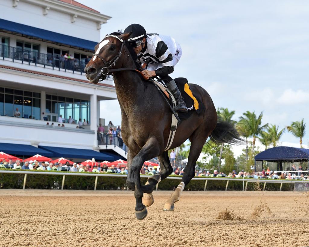 SLIDESHOW: Get to Know the 2026 Kentucky Derby Contenders | America's ...