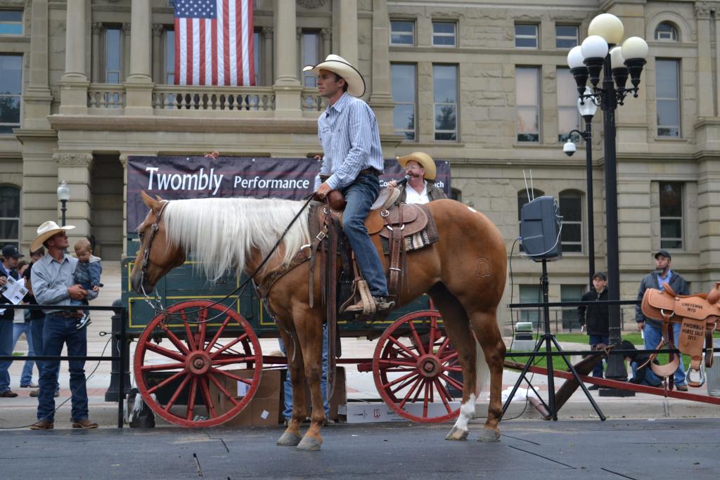 ‘Small But Mighty’: Meet Sunny, Justify’s Stable Pony | America's Best ...