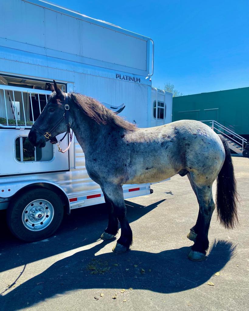 Pony Master Becoming Gulfstream Park Rock Star | America's Best Racing