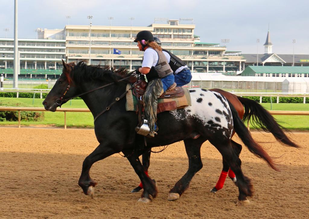 How Harley the Magnificent Became a Breyer Horse Model | America's Best ...