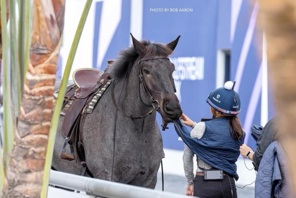 Pony Master Becoming Gulfstream Park Rock Star | America's Best Racing