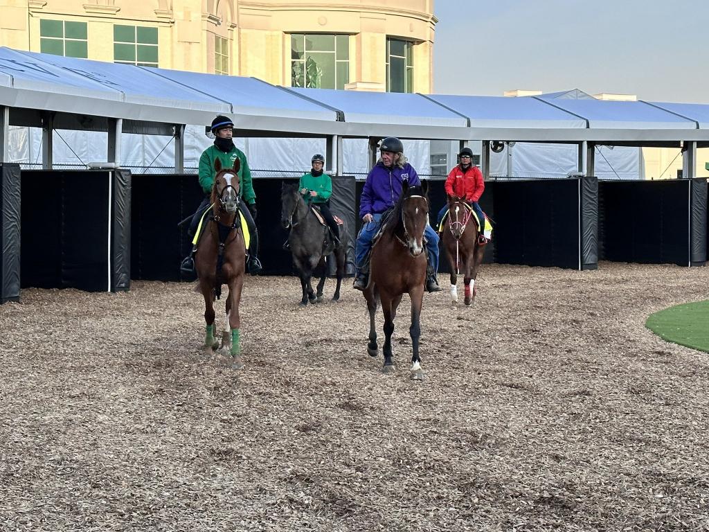 Experienced Horseman Mike Crowder Helps Put Team Japan at Ease ...