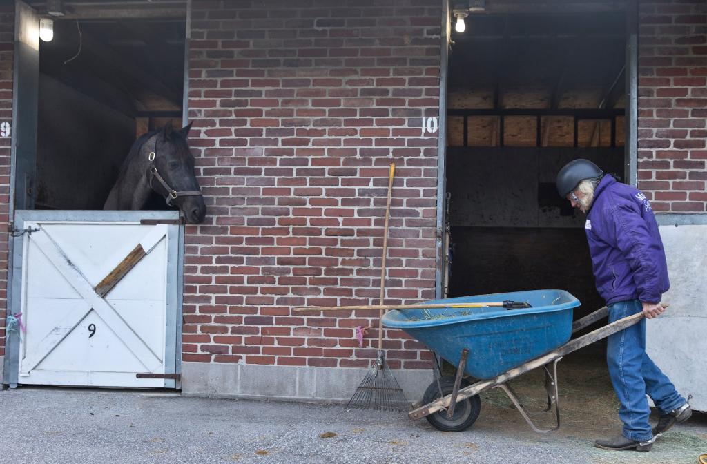 Experienced Horseman Mike Crowder Helps Put Team Japan at Ease ...