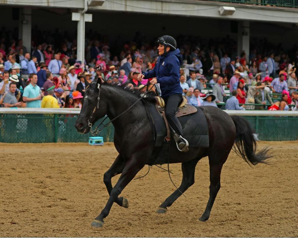 Sherman So Much More Than Lovable Tank for Moquett Barn, Donna Brothers ...