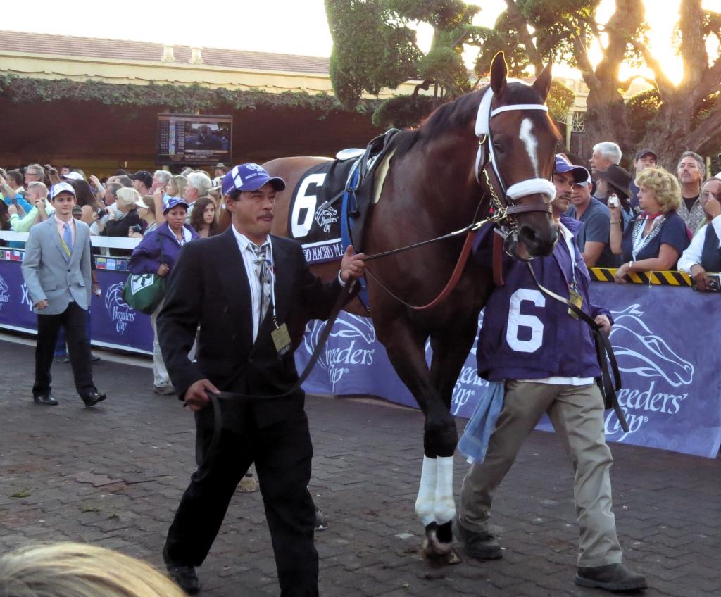 Redemption for Mucho Macho Man in ‘Fairy-Tale’ 2013 Breeders’ Cup ...