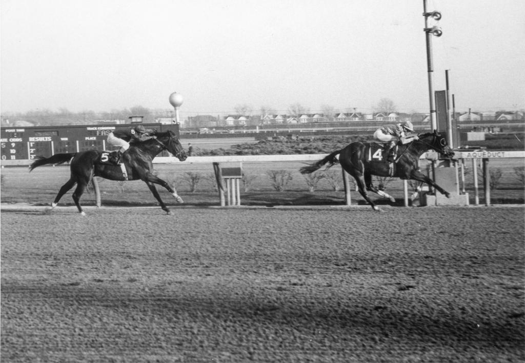 Northern Dancer: A ‘Pocket Battleship’ Who Became a Worldwide Influence ...