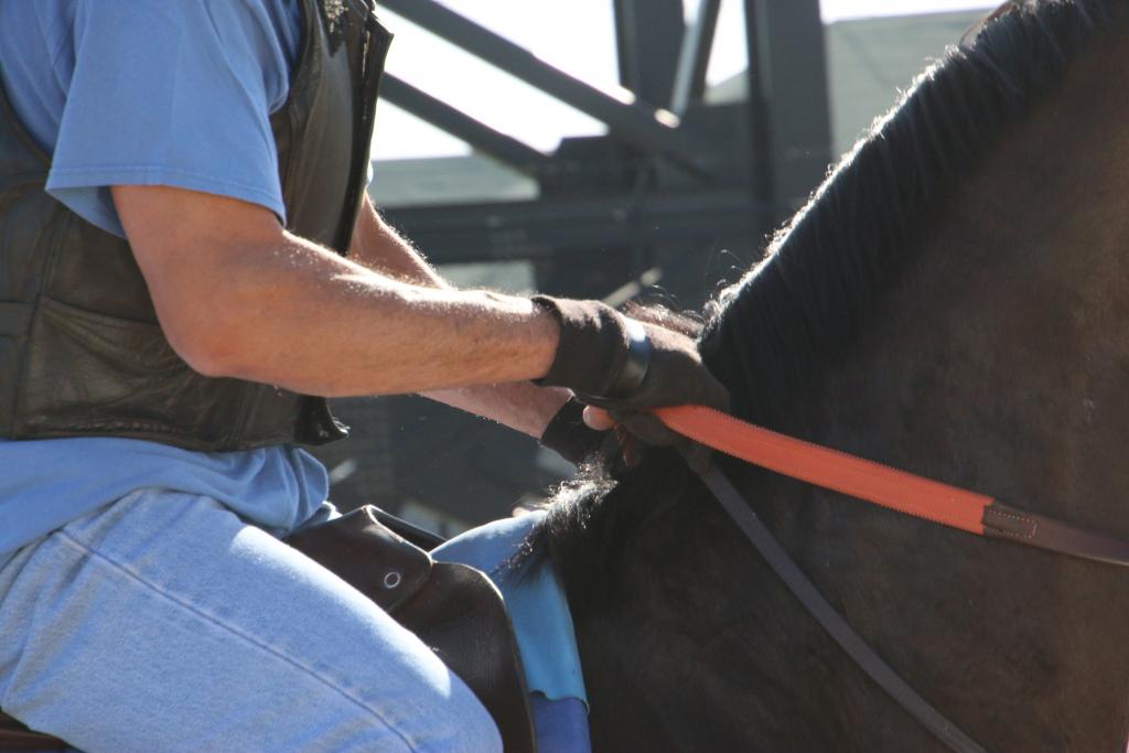 A 'Magic' Touch Brings Exercise Rider Maurice Sanchez to the Kentucky ...