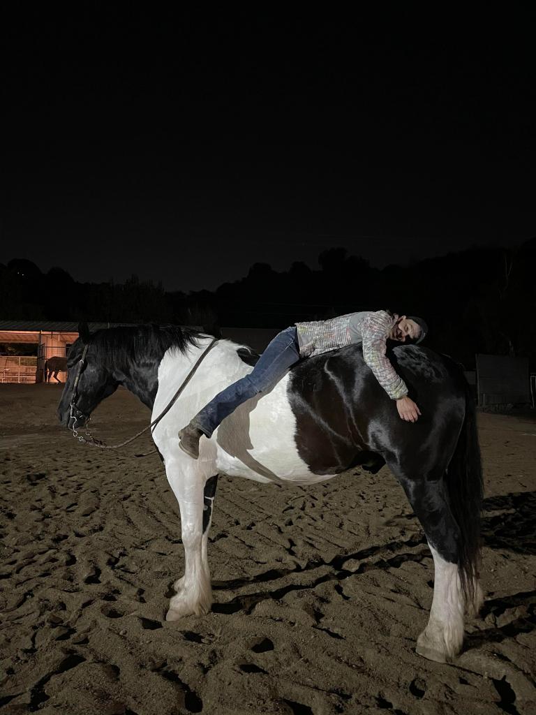 Gentle Giant Kong Steals Hearts of Television Audience in First ...