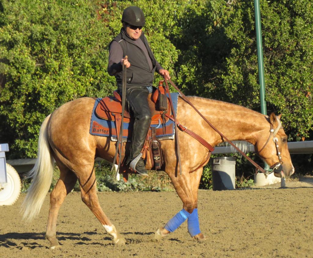 ‘Small But Mighty’: Meet Sunny, Justify’s Stable Pony | America's Best ...