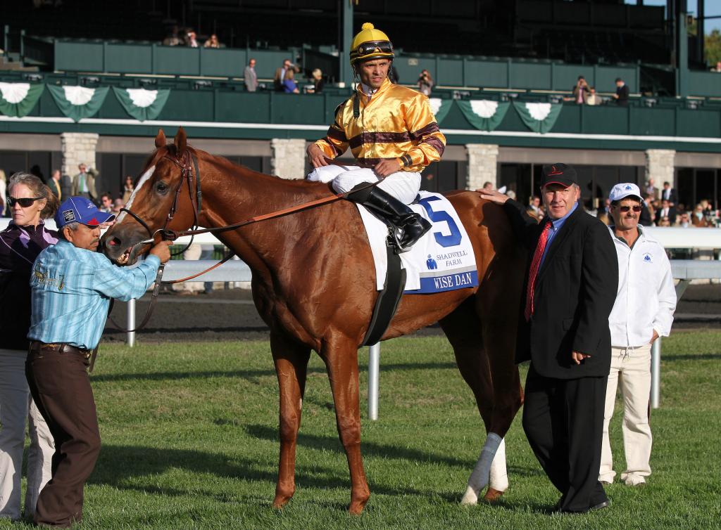 Wise Dan: How One Racehorse Defined What It Means to Be a Champion ...