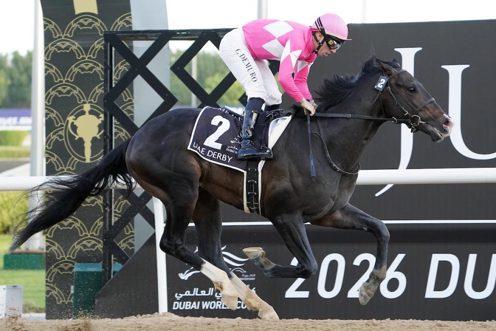 SLIDESHOW: Get to Know the 2026 Kentucky Derby Contenders | America's ...