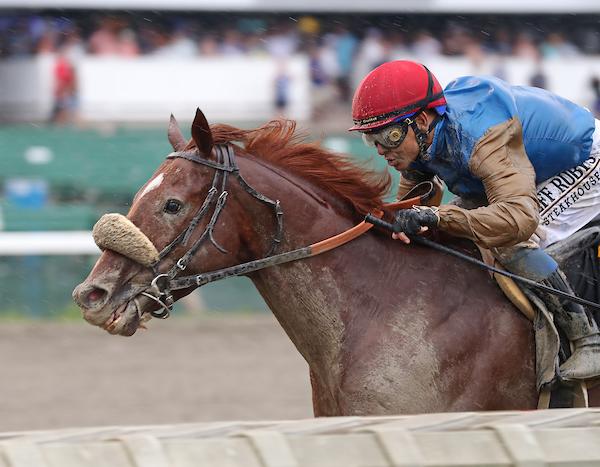 2024 California Crown Stakes Cheat Sheet: Get to Know the Horses ...
