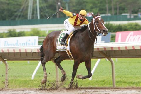 The Rivalry That Never Was: Rachel Alexandra and Zenyatta | America's ...
