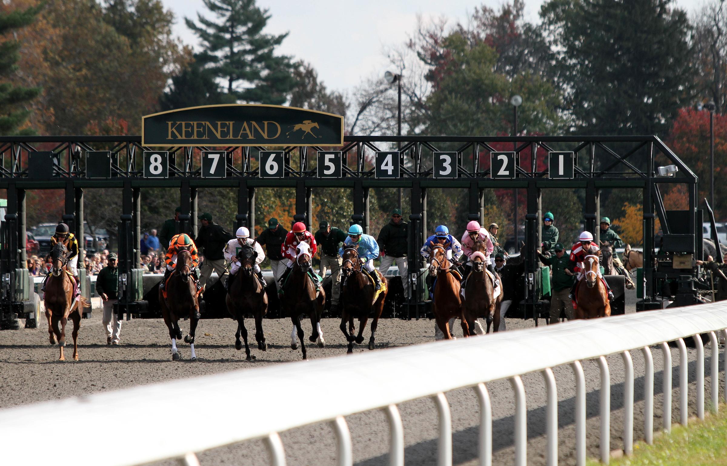 Keeping Them Safe in the Saddle: Jockey Safety Has Been a Century-Plus ...