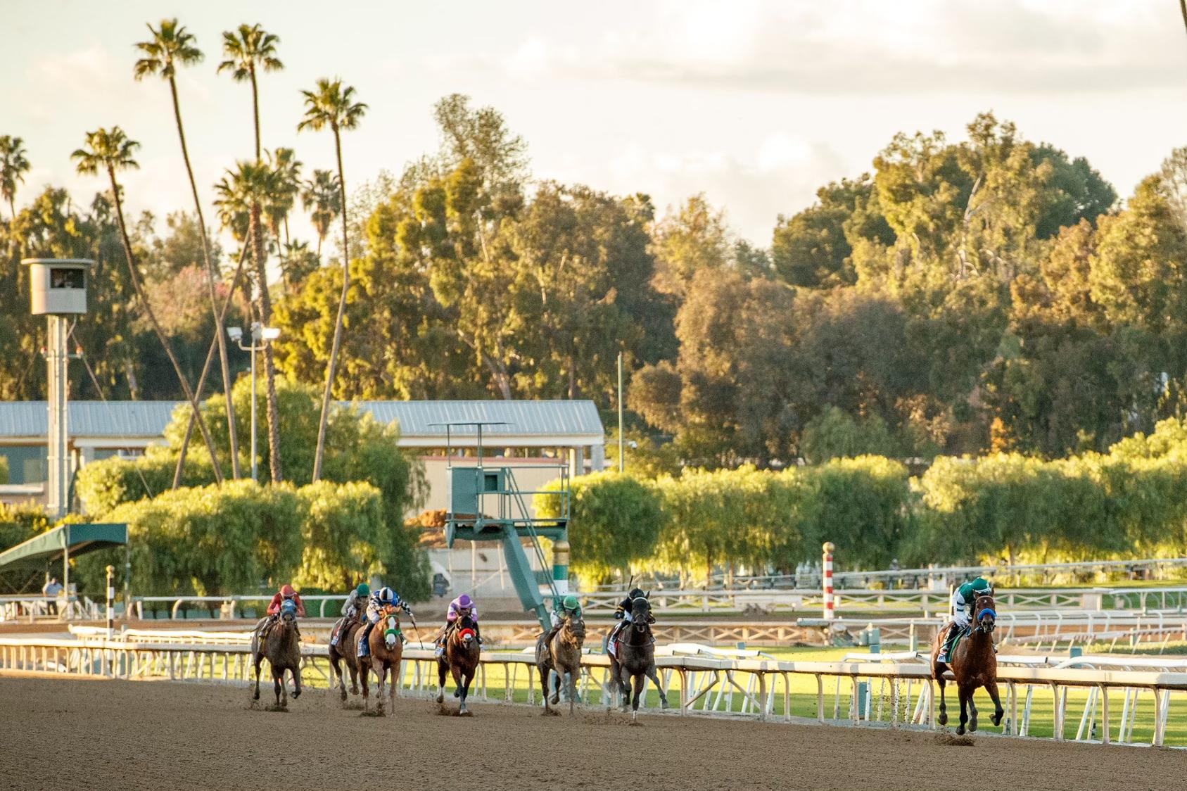 Flightline Mesmerizes in Runhappy Malibu, Express Train Surprises in ...