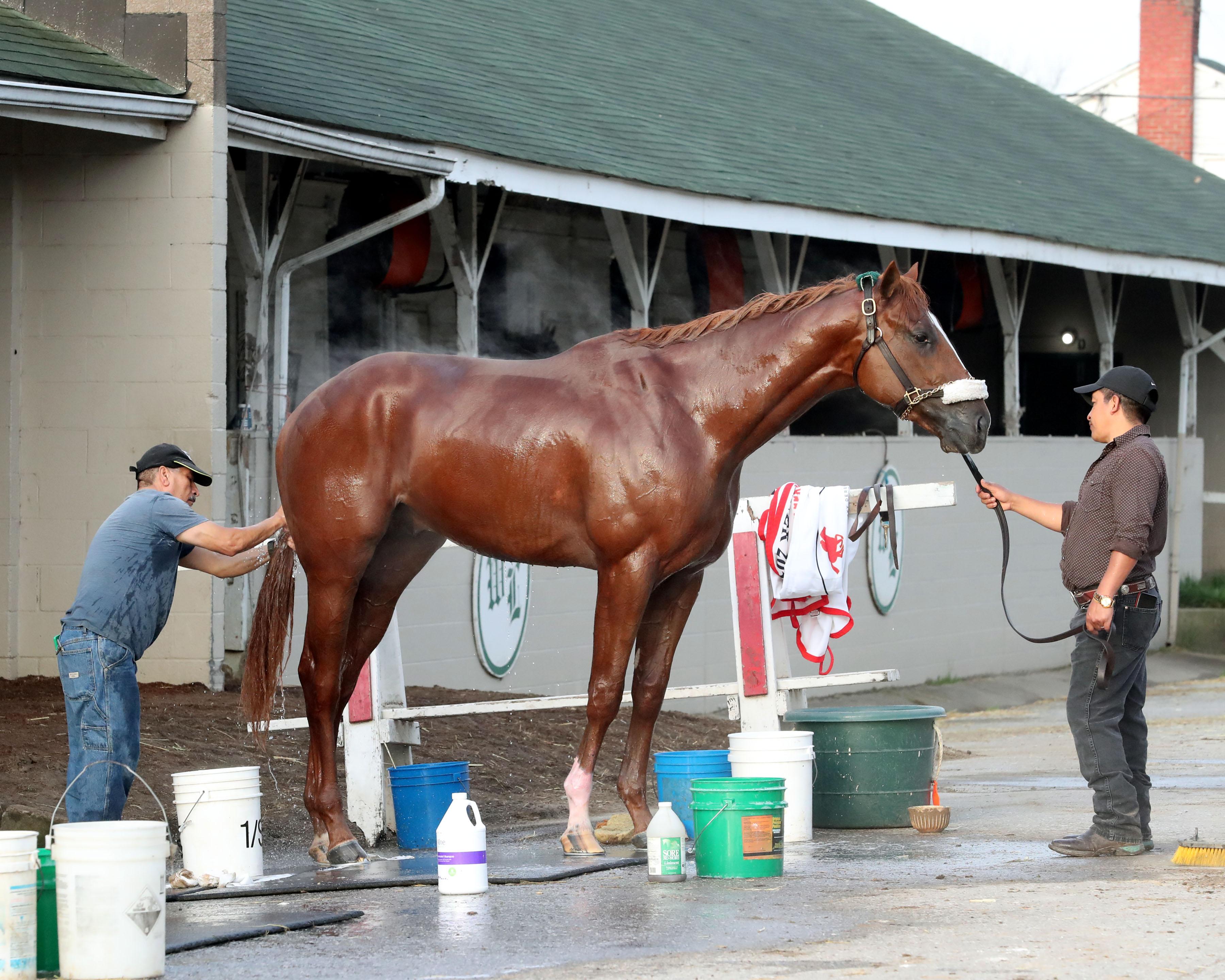 Separating the 2025 Kentucky Derby Contenders From Pretenders With NBC ...