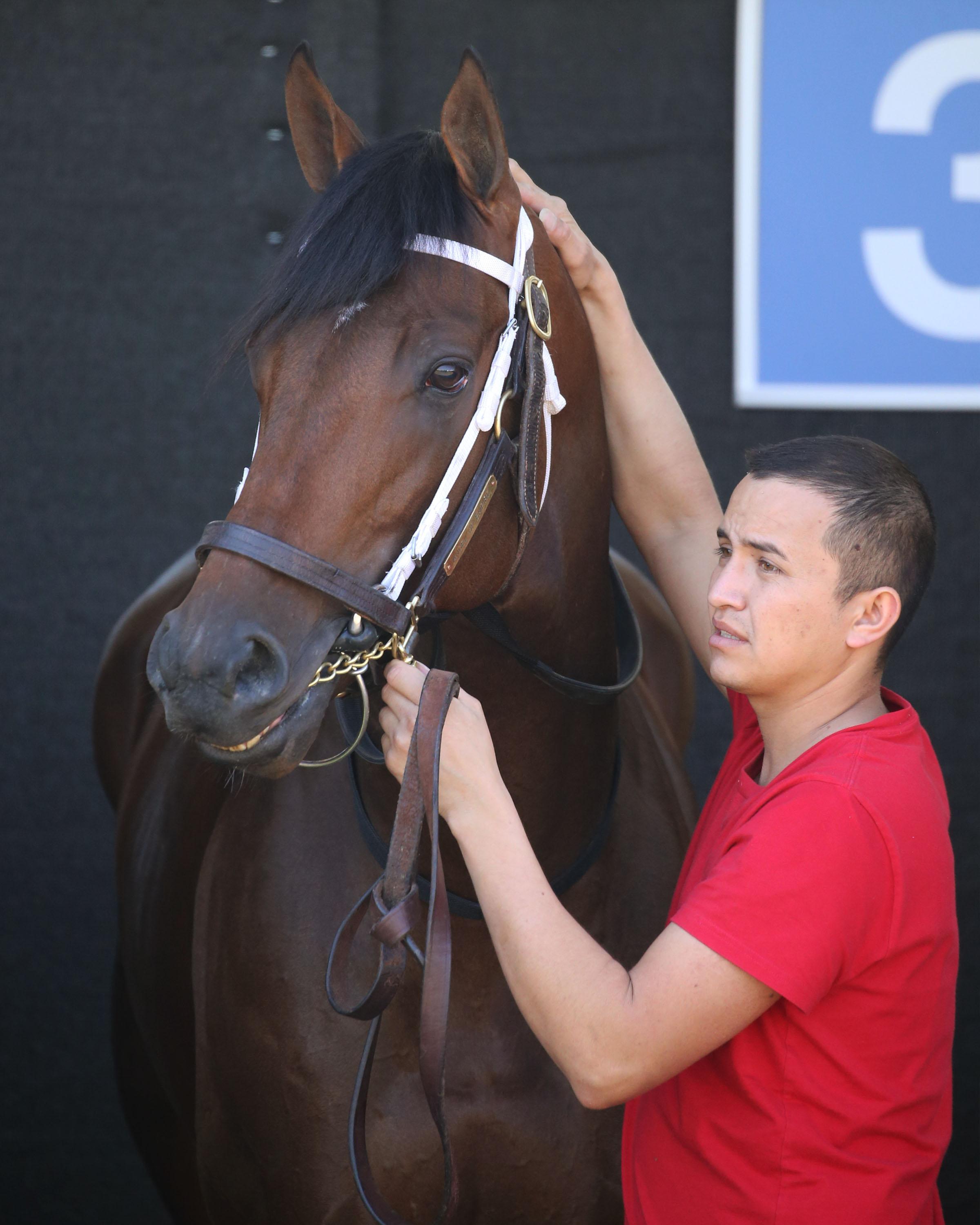 Quirks and Nicknames for 2023 Kentucky Derby Horses | America's Best Racing