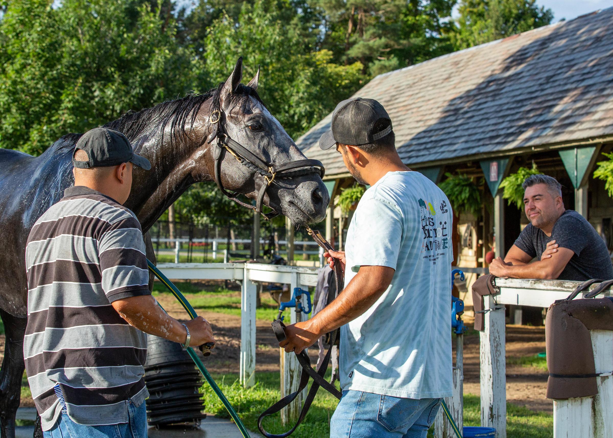 Arcangelo Proves Quite Popular at Saratoga After Travers Victory ...