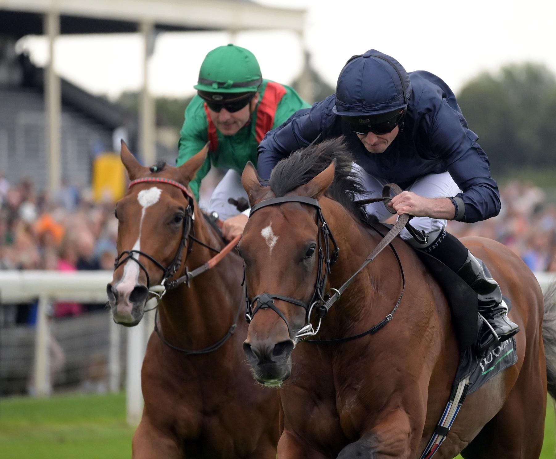 City of Troy, Fierceness Rise in Longines World’s Best Racehorse ...