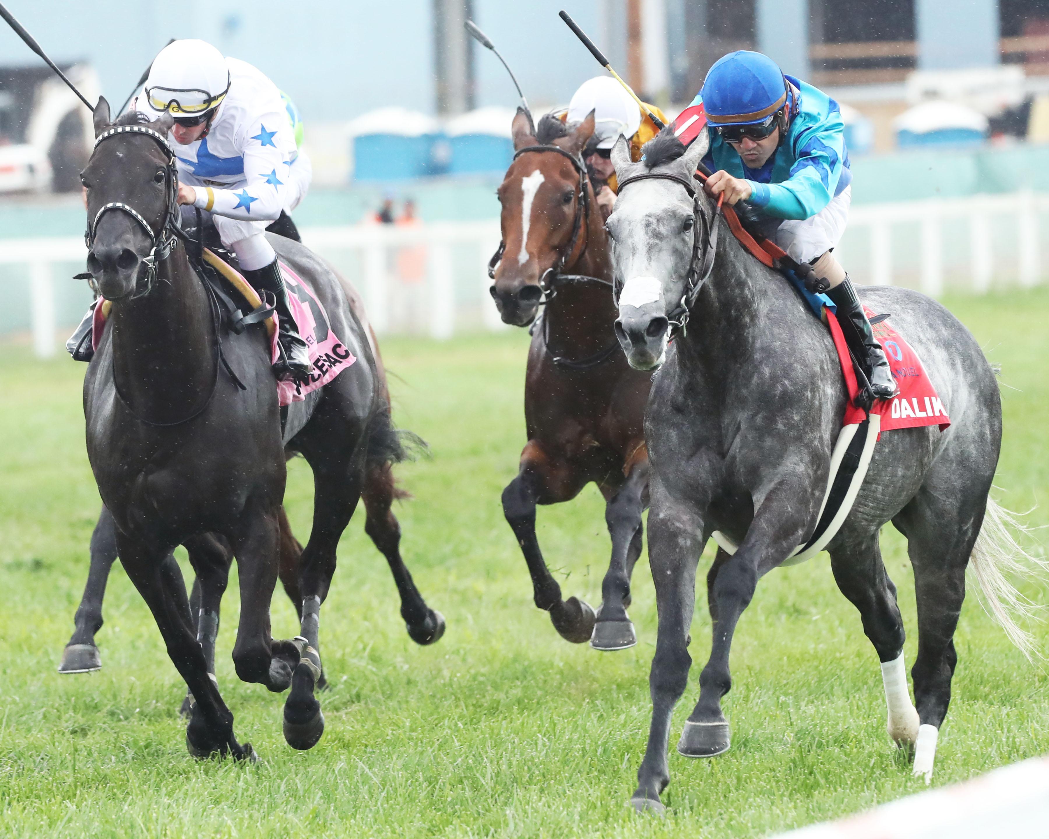 Red Knight Holds Off Gufo in Kentucky Turf Cup, Bran Springs Upset in ...