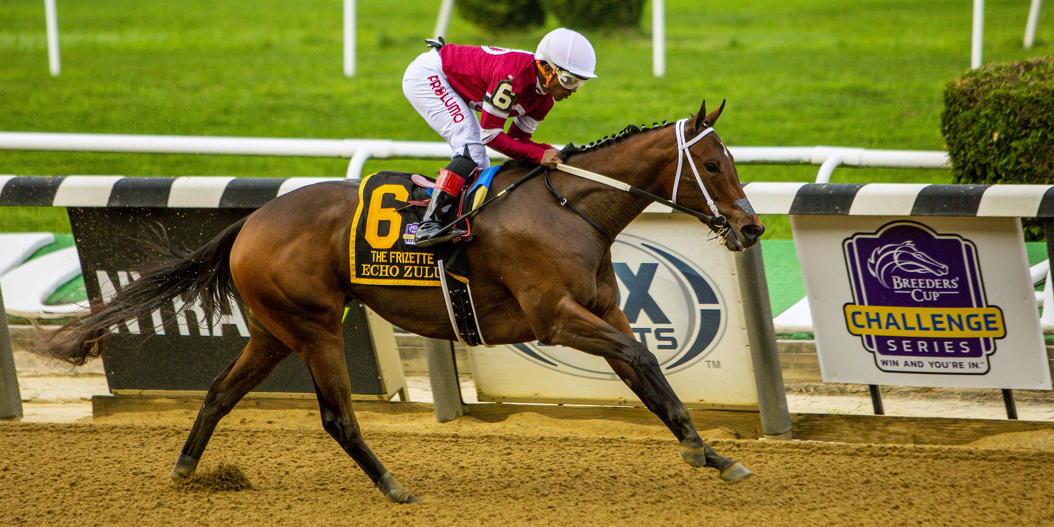 Knicks Go Crowned Horse of the Year to Highlight 2021 Eclipse Awards ...