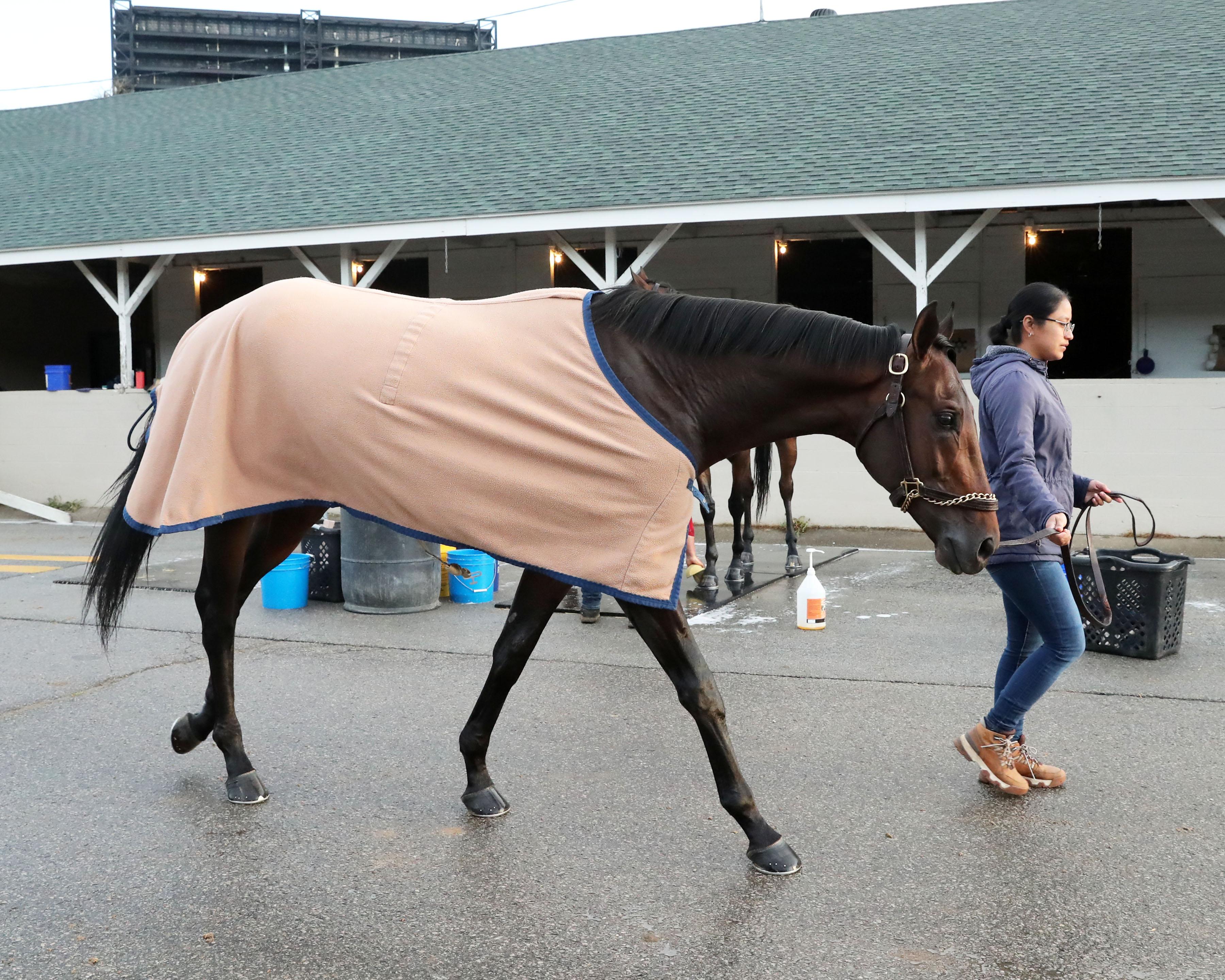 ‘Let’s Go For It’: Derby a Reality for Flying Mohawk Co-Owner and ...