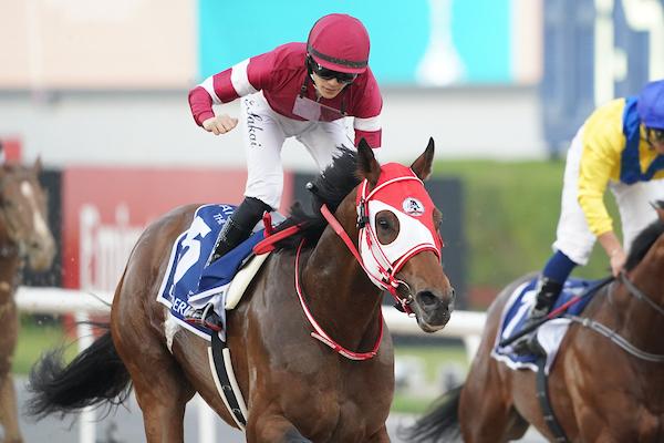 Breeders' Cup Classic Contender Rankings: Fierceness Still the One to ...