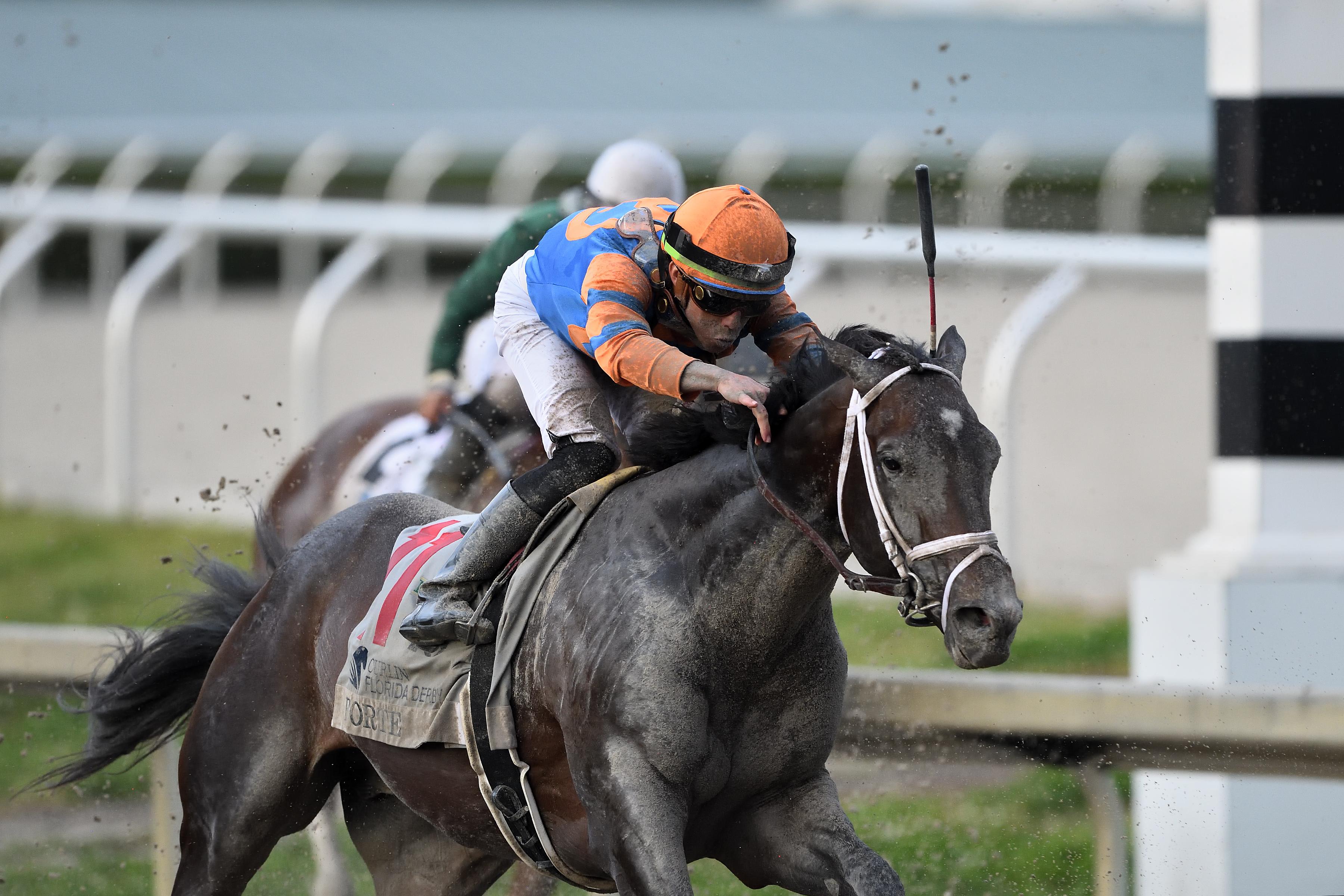 Forte Maintains Top Ranking in Kentucky Derby Poll, Mage Cracks the Top ...