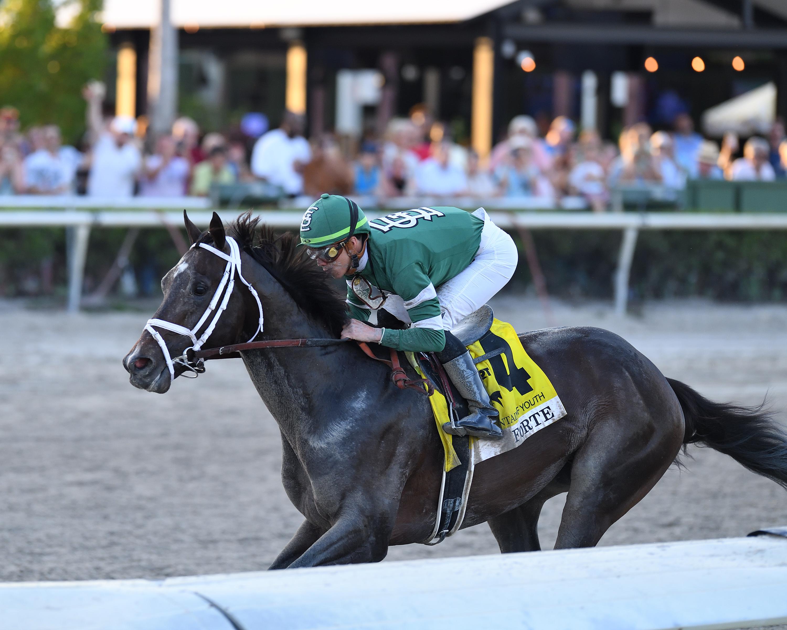 Forte Wins Fountain of Youth in Impressive 3-year-old Debut | America's ...