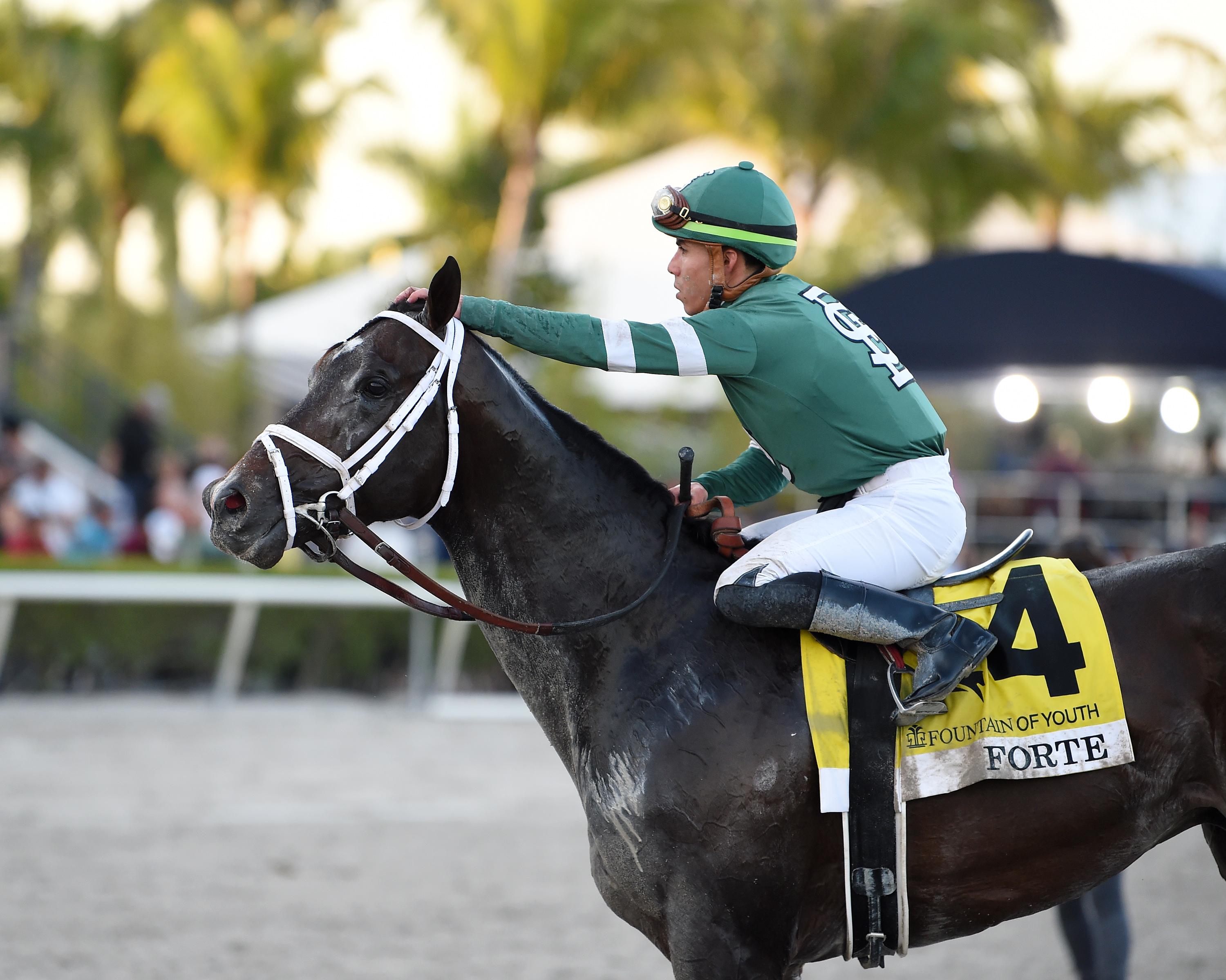 Forte Stands Alone Atop Final Pre-Derby NTRA 3-Year-Old Poll | America ...