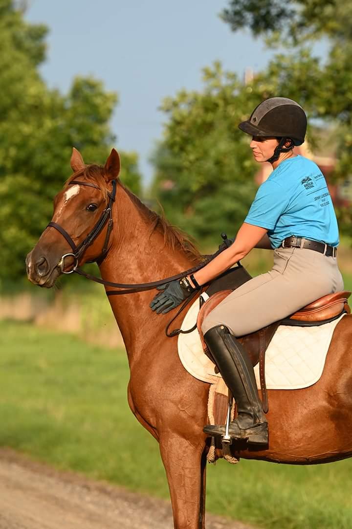 Thoroughbred Makeover Diary: Foxhunting for Beginners | America's Best ...