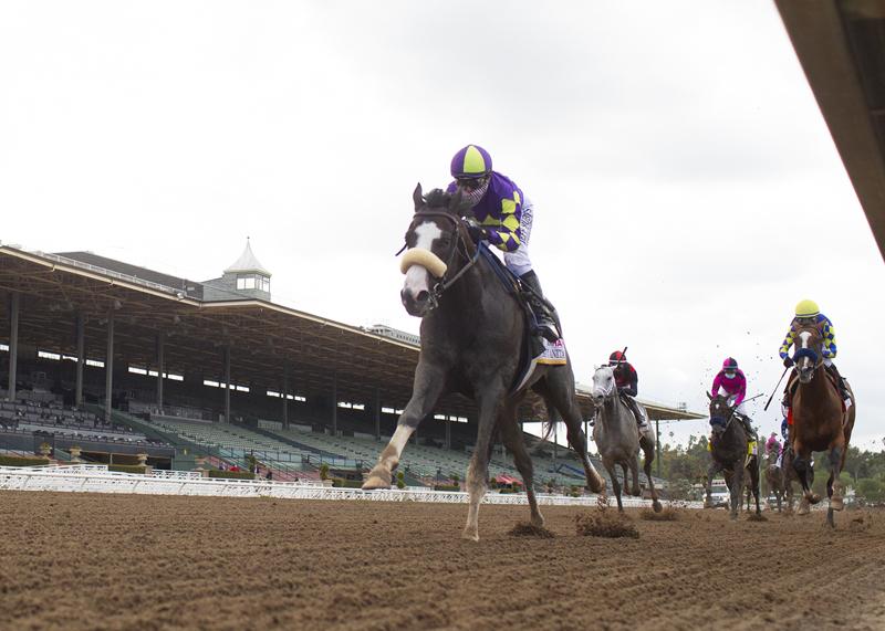 Honor A. P. Turns Tables on Authentic in Santa Anita Derby | America's ...