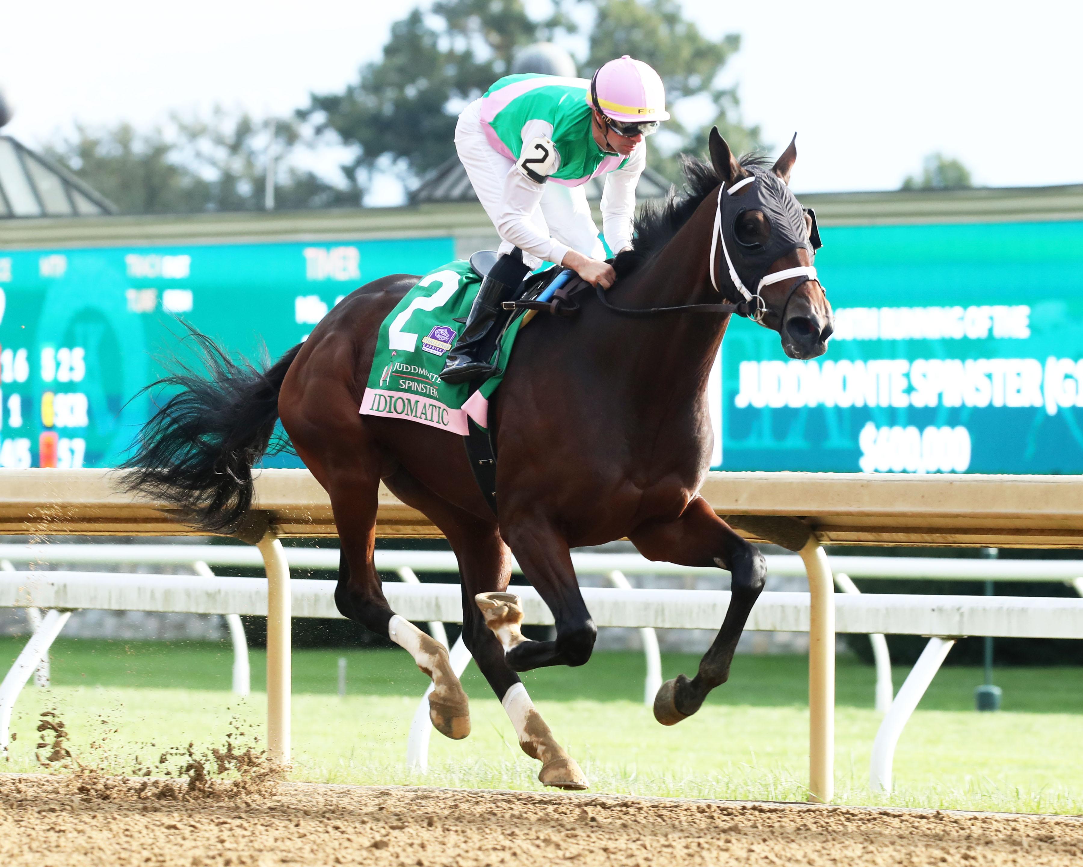 Spinster Stakes a Piece of Cake for Idiomatic, Can Group Pulls 27-1 ...