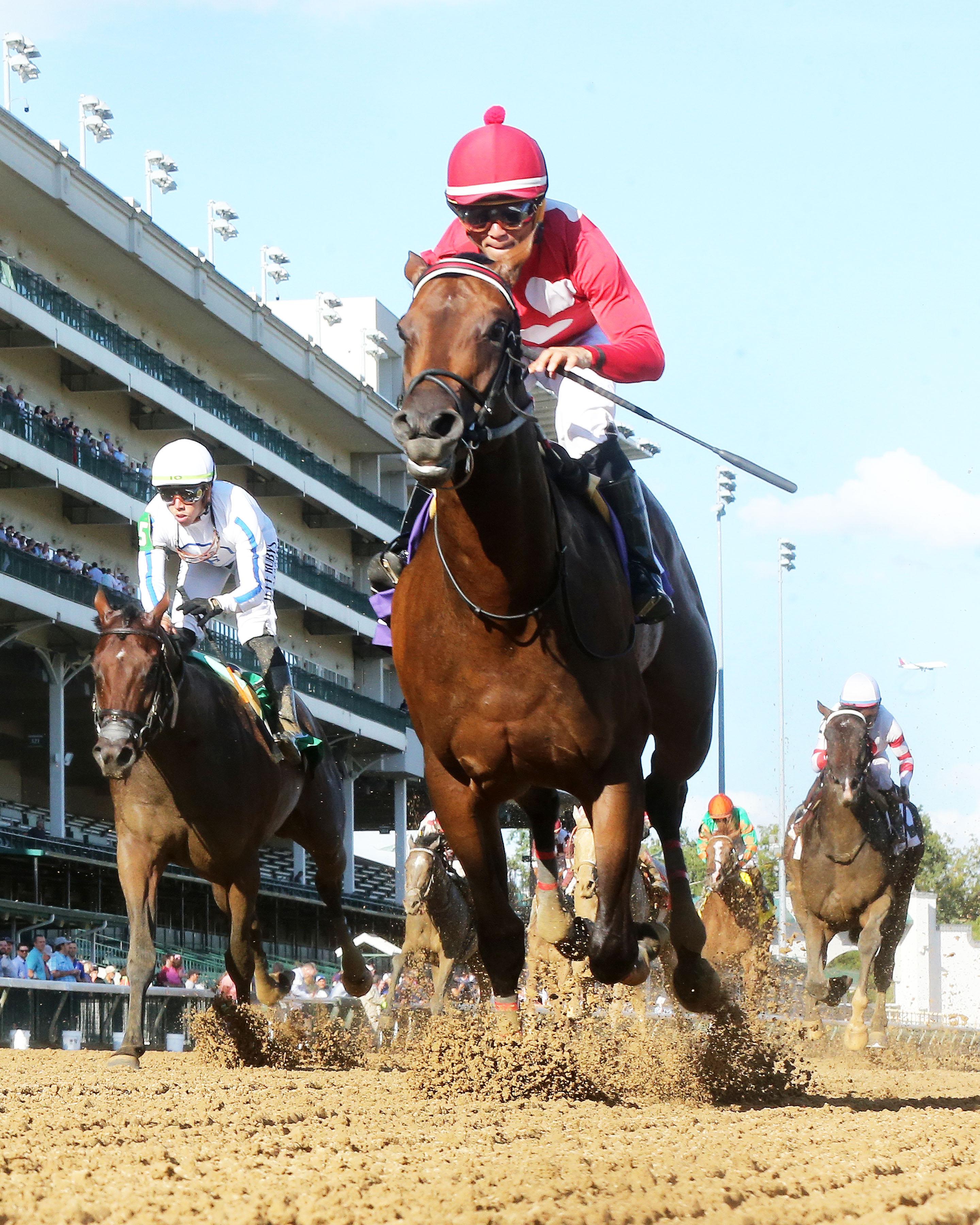 Dreaming Big with Ohio-Bred Jonathan’s Way on Breeders’ Cup, Kentucky ...