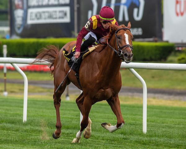 New York Invader Kalik Looks Tough to Beat in King's Plate | America's ...