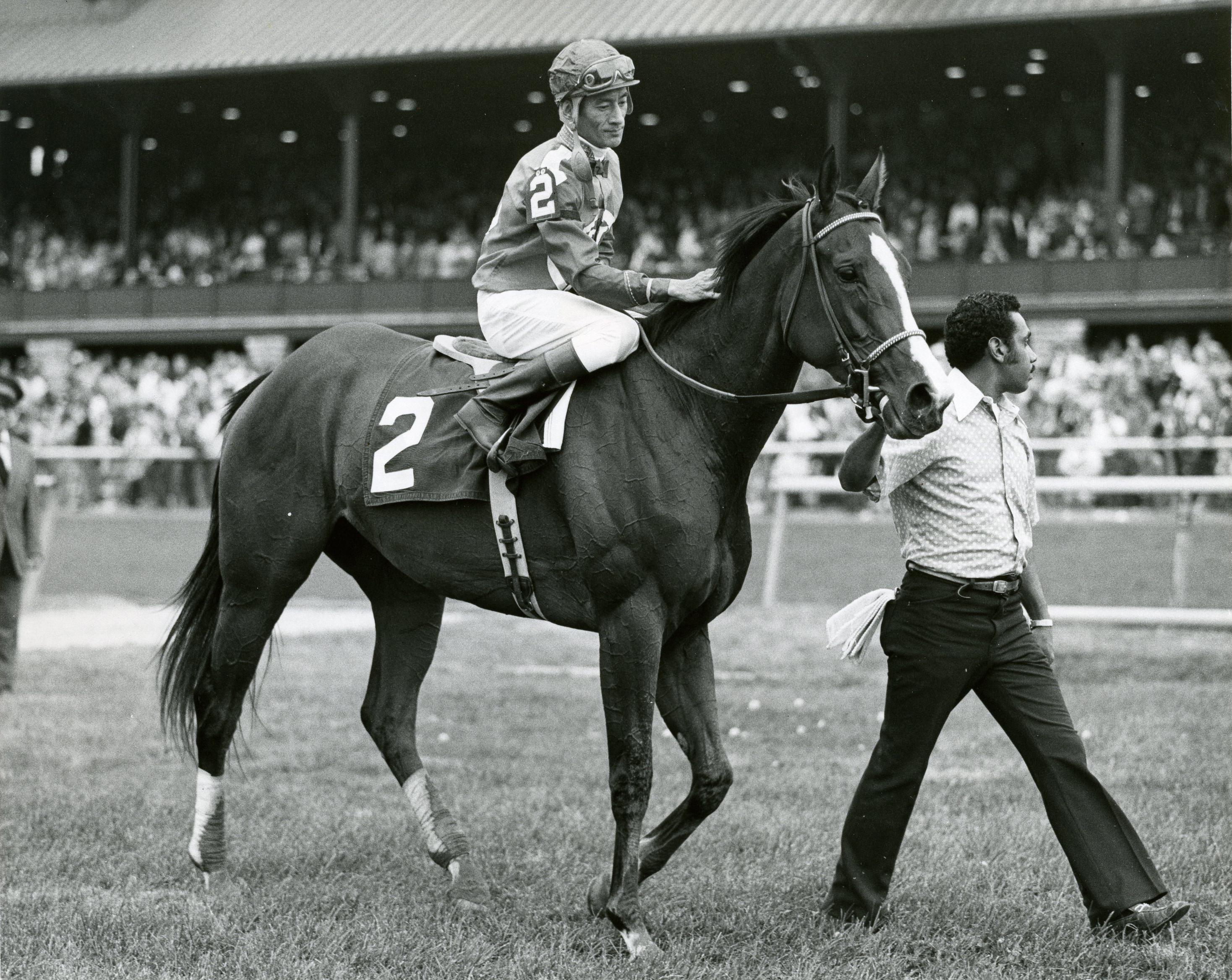 Racing Legends of the 20th Century: Chris Evert, Susan’s Girl, and ...