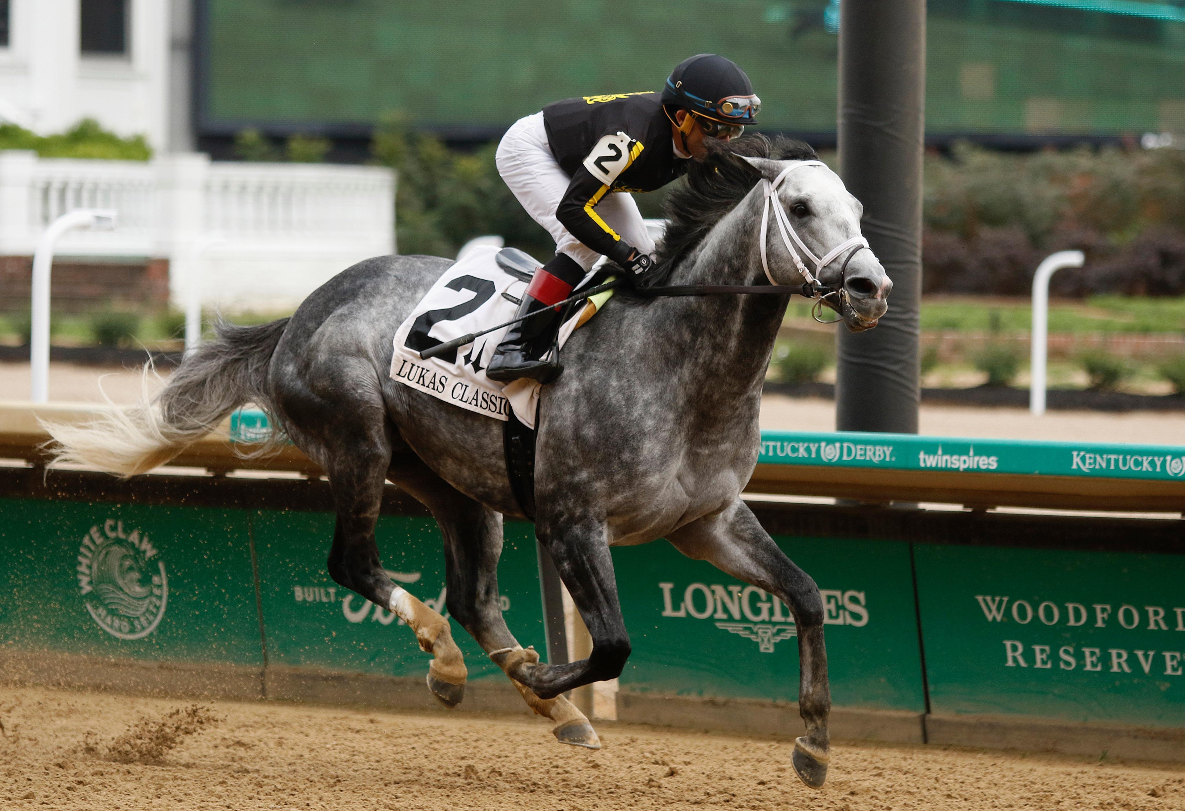 Knicks Go Crowned Horse of the Year to Highlight 2021 Eclipse Awards ...