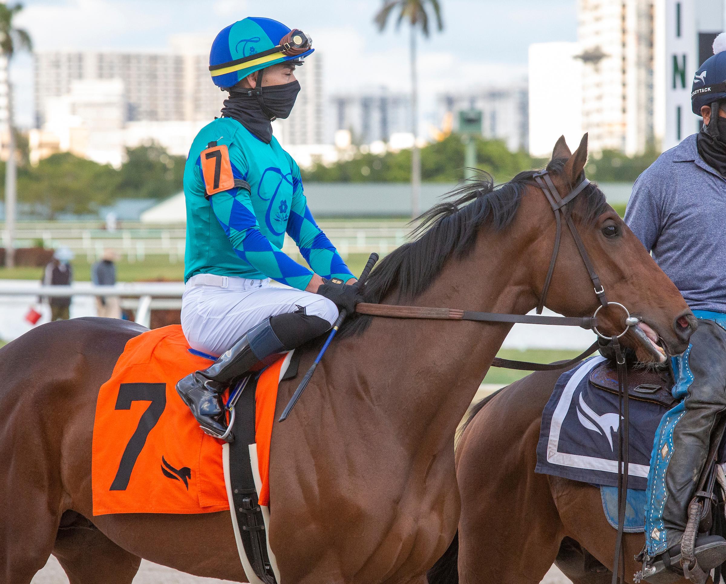 Greatest Honour Impressive in Holy Bull Win | America's Best Racing