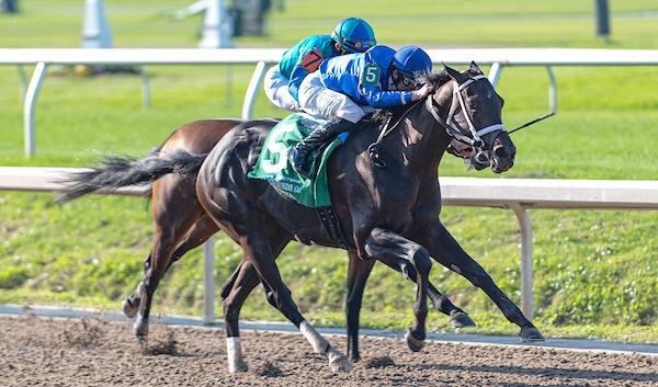 Owner Albaugh on Taking Risks, Perseverance, Thrill of the Derby, and ...