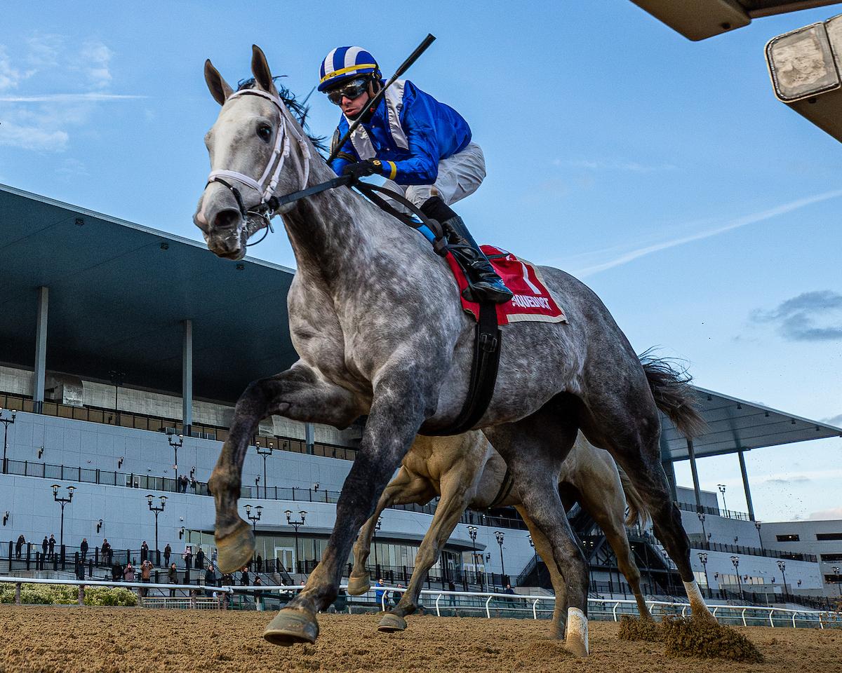 Locked Wins Cigar Mile, Poster Wins Remsen as Prat Sets Jockey Stakes ...