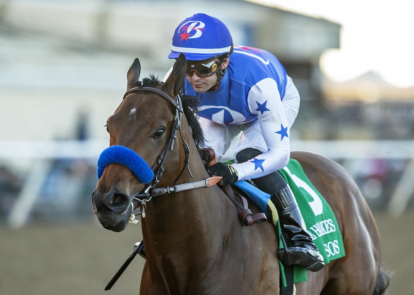 Fierceness Reclaims Top Spot in Triple Crown Rankings Following Florida ...