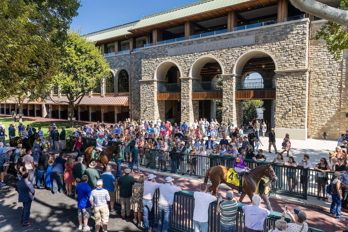 Women in Racing: ‘Traditionalist’ Shannon Arvin Leading Keeneland to ...