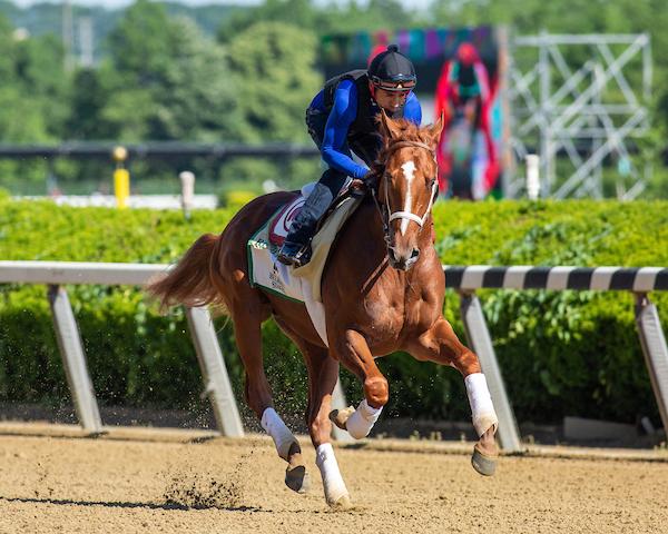Belmont Stakes Diaries With Lindsy Reed: Rich Strike Ready to ‘Run Them ...