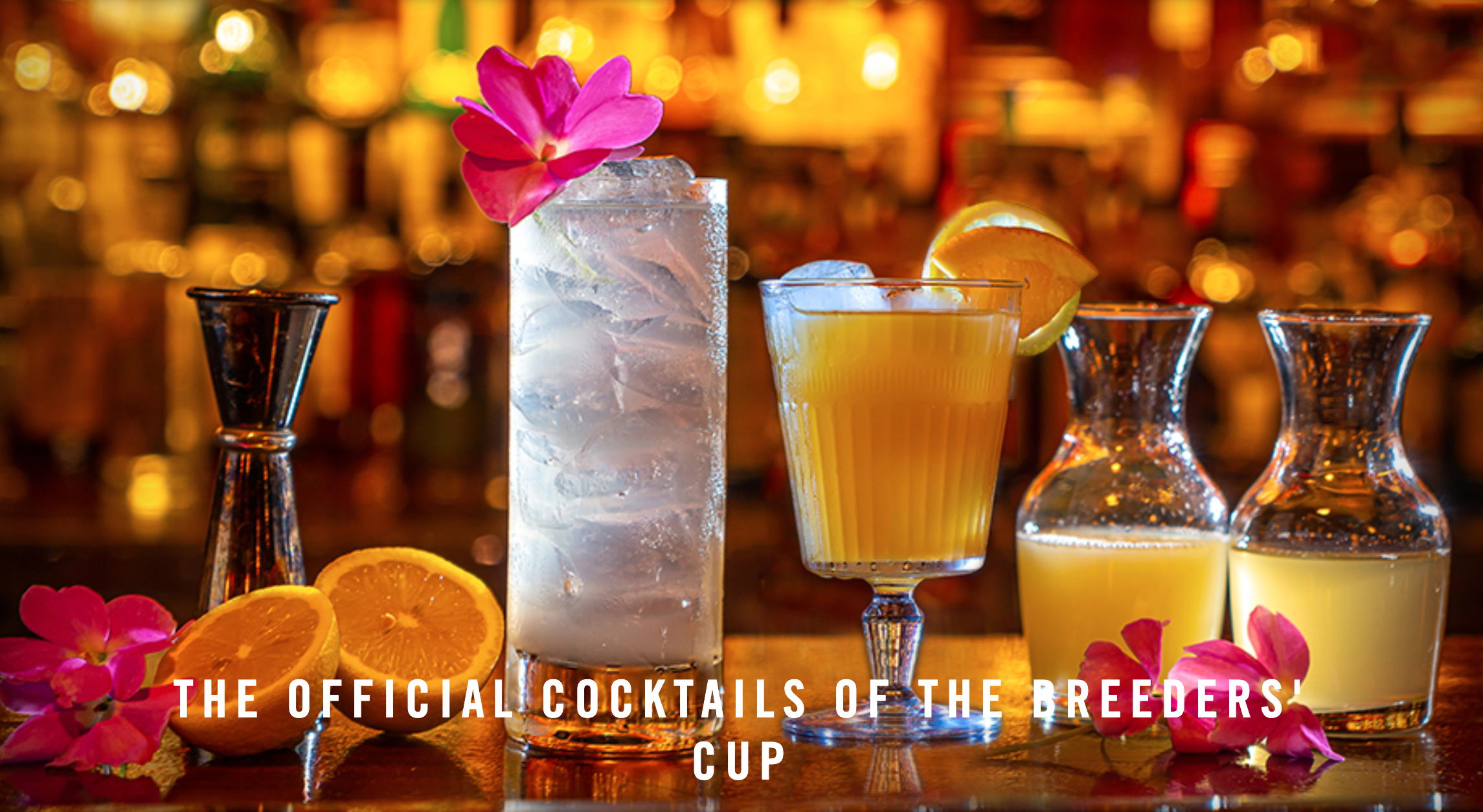 How to Host the Ultimate Sports Viewing Party | America's Best Racing