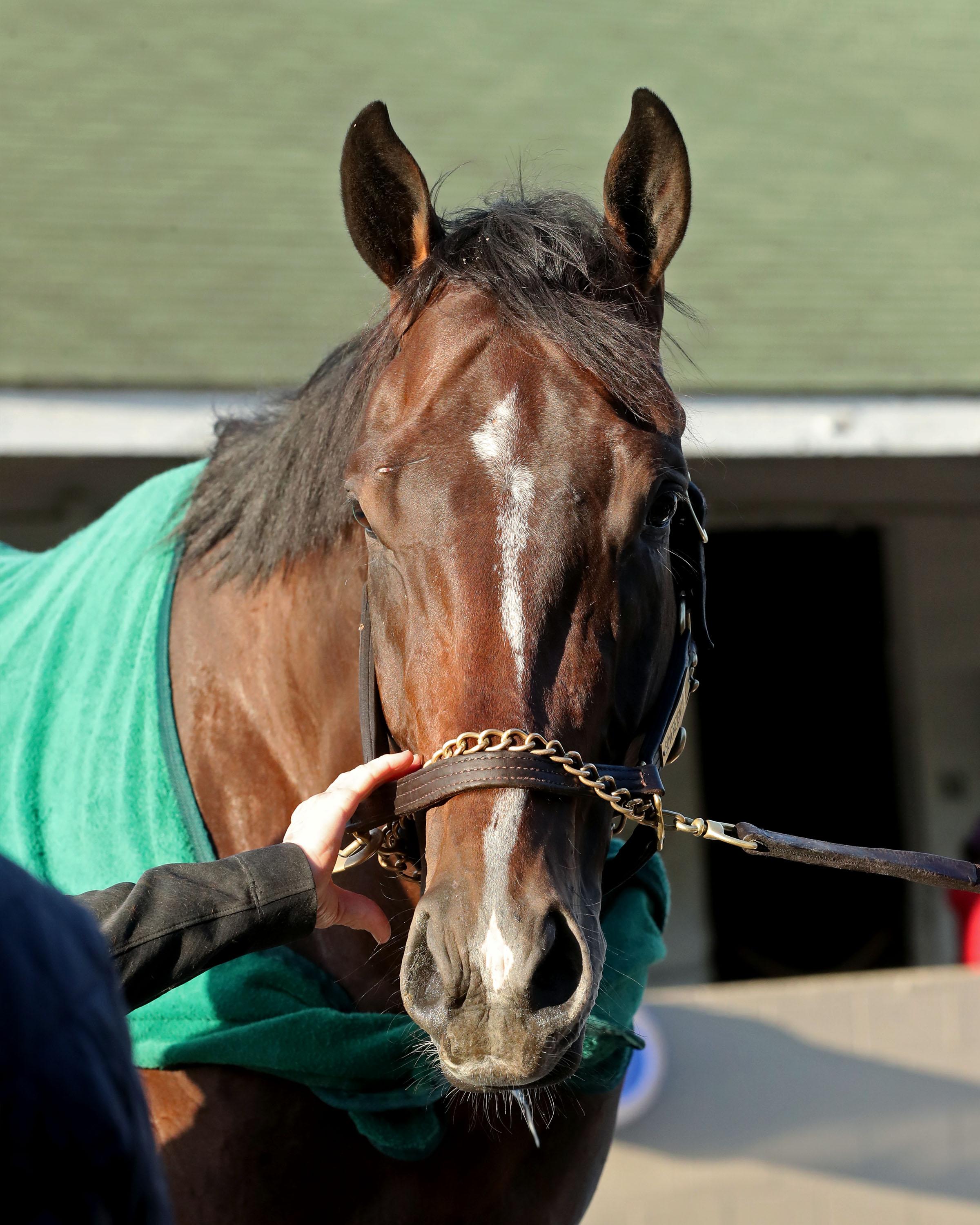 Separating the 2025 Kentucky Derby Contenders From Pretenders With NBC ...